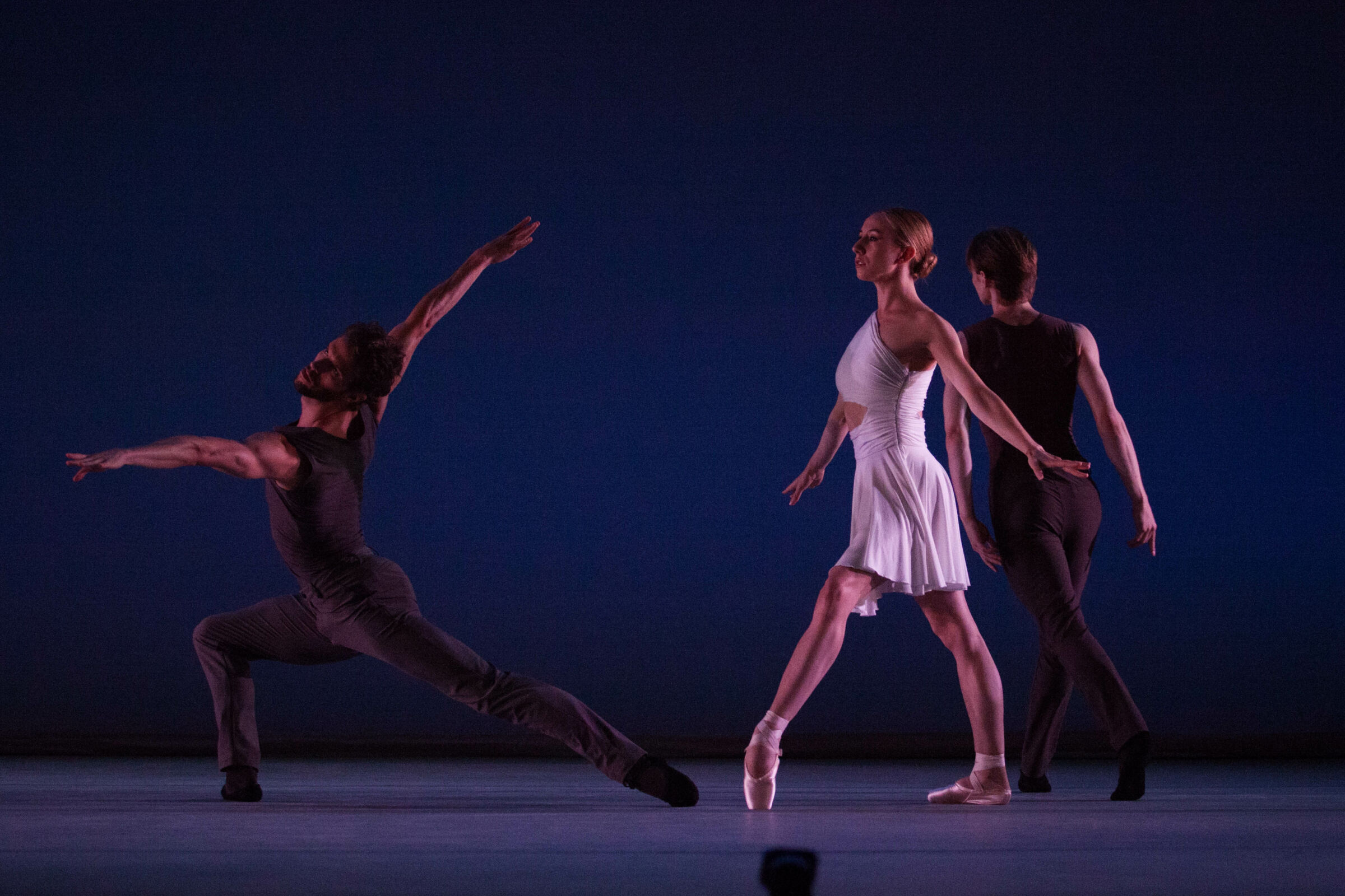 Intensio • Daniil Simkin