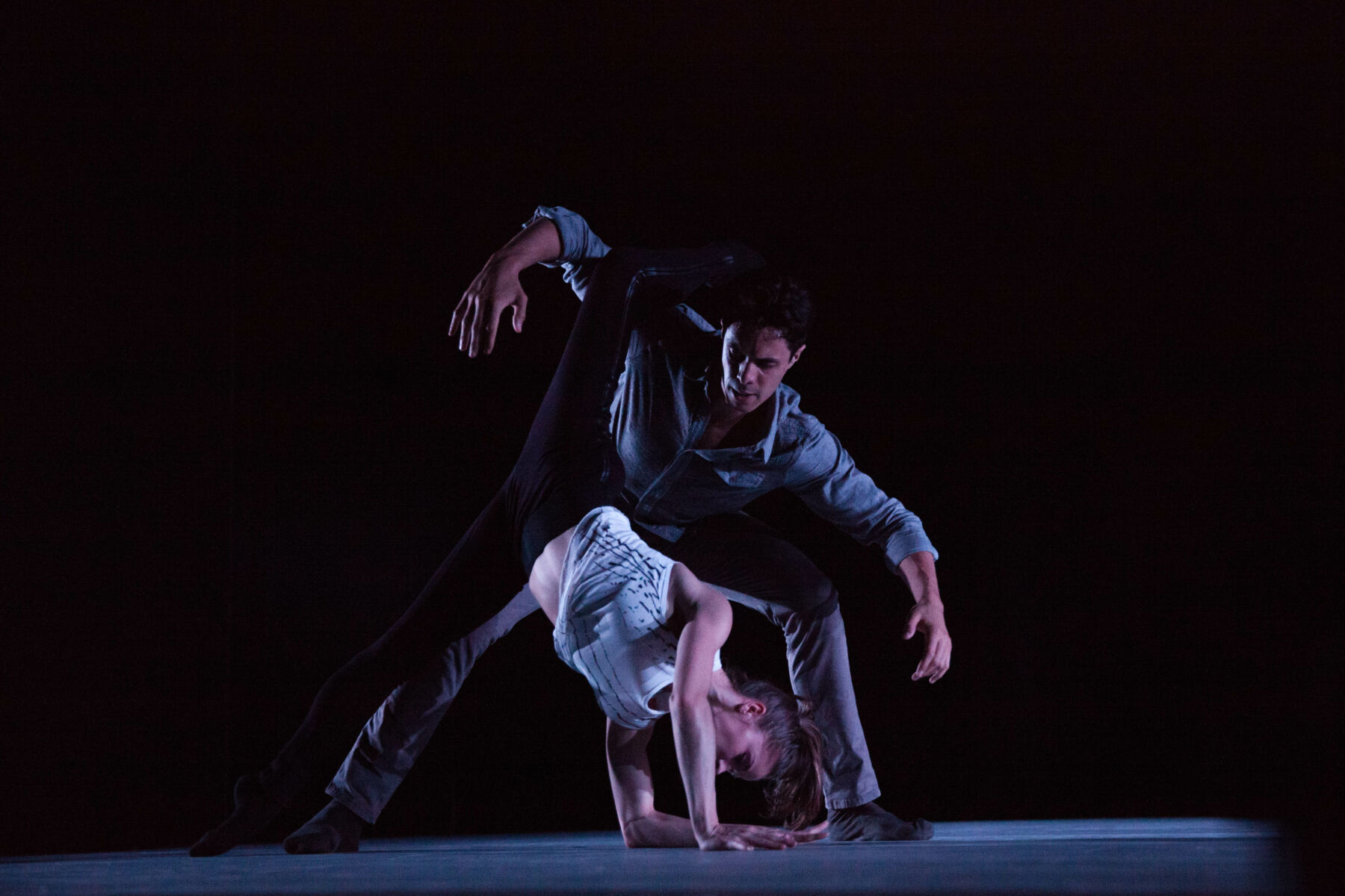 Intensio • Daniil Simkin