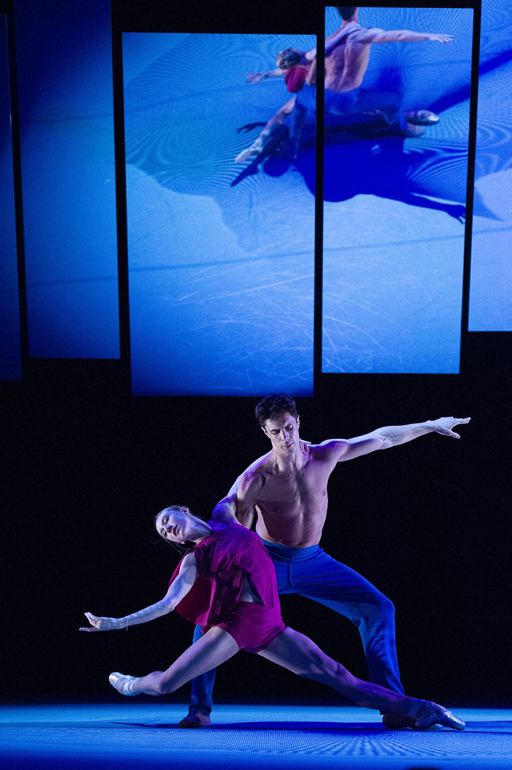 Intensio • Daniil Simkin